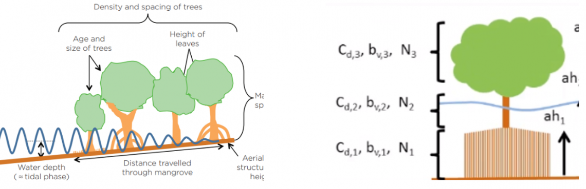 Moreton Bay Living Shoreline Concept Design, QLD - JBP