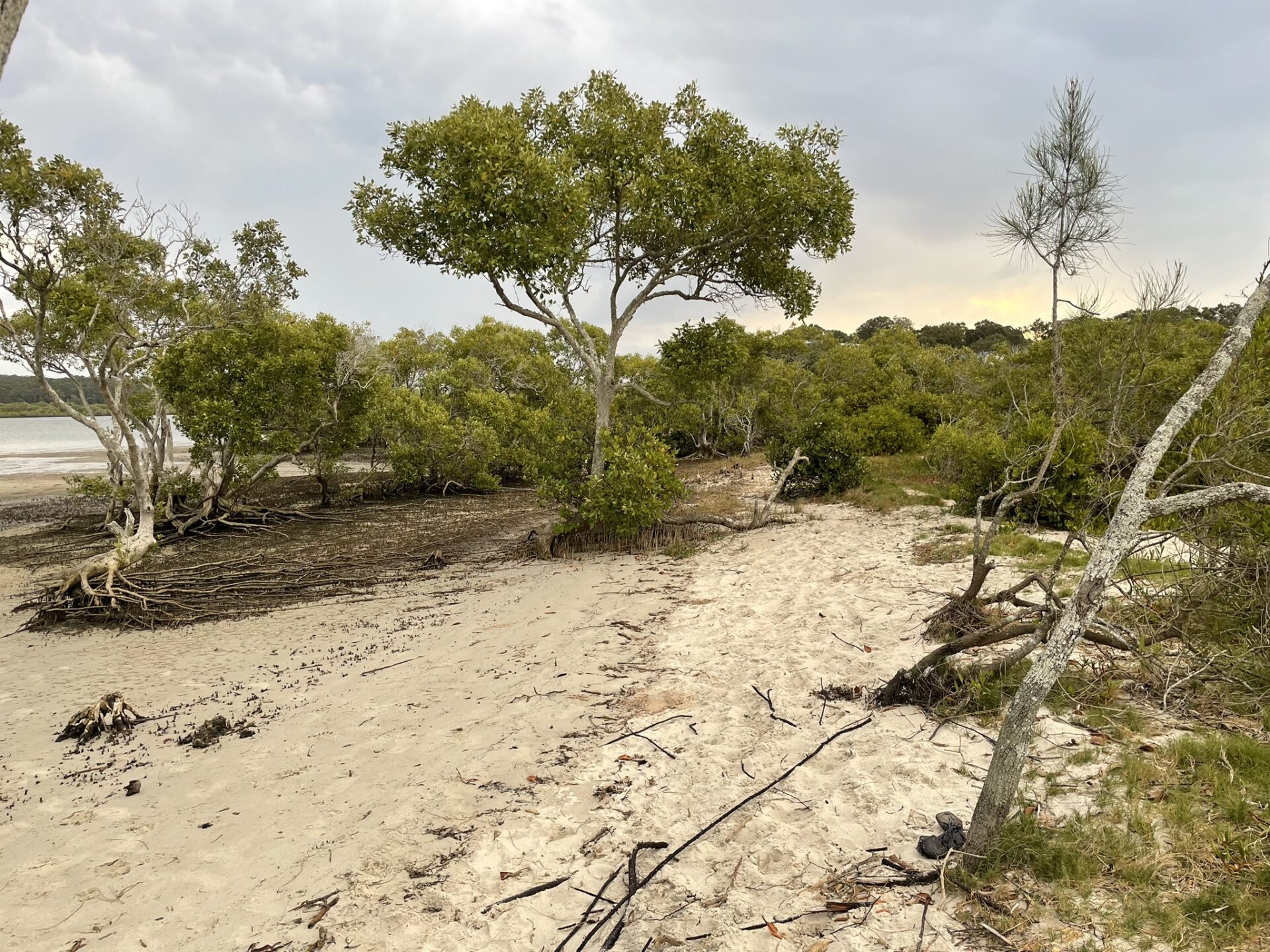 Coastal Engineering and Nature-Based Solutions - JBP
